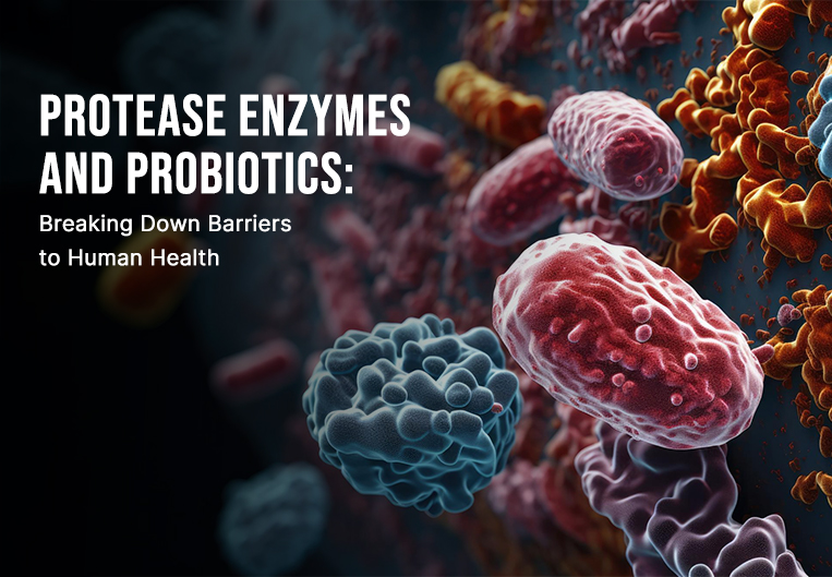 Lysozyme Unleashed: Applications in the Pharmaceutical Realm — Ultreze ...