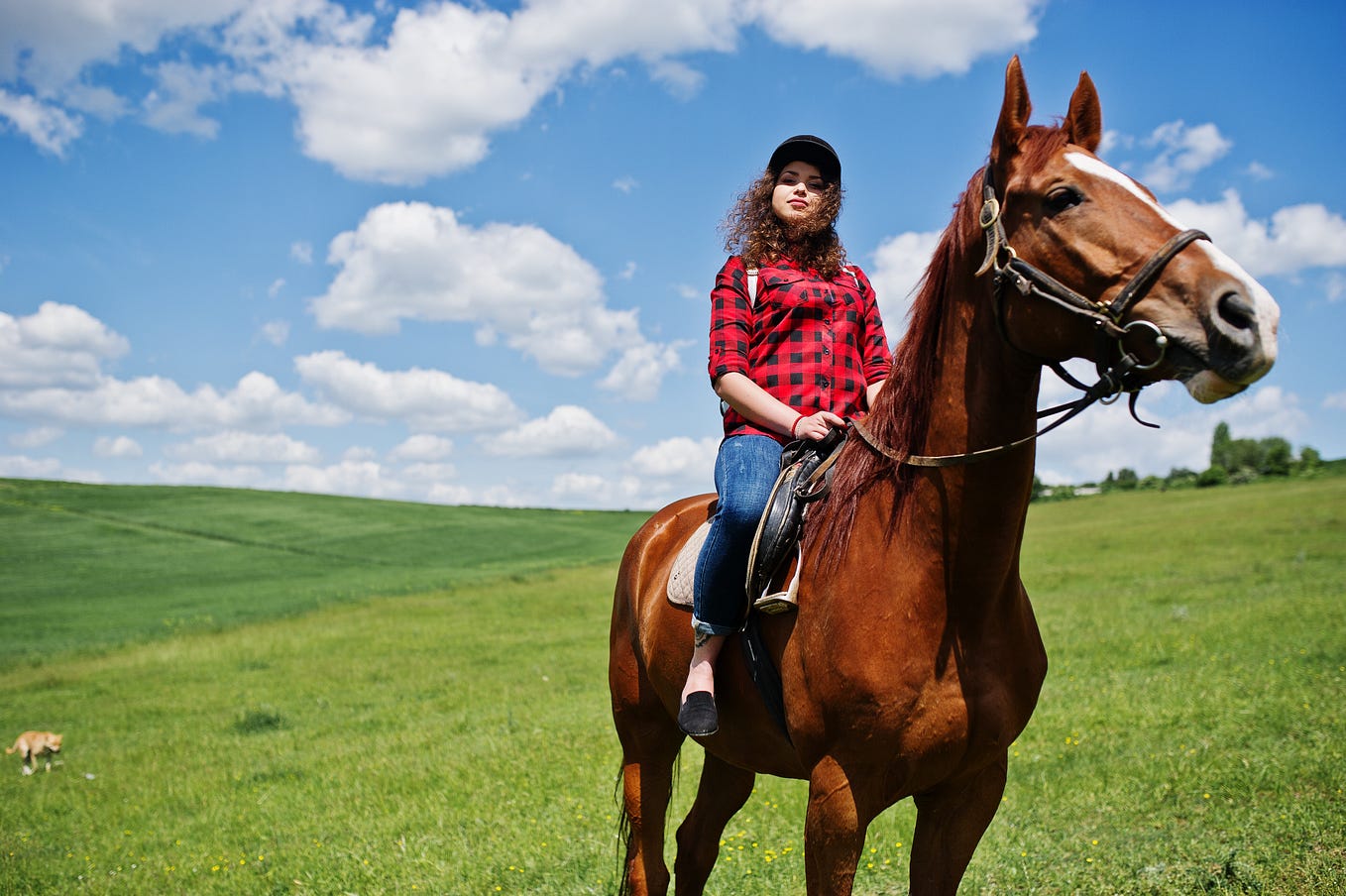 Unbridled Beauty: Horseback Riding Seattle Adventures | by Skyland ...