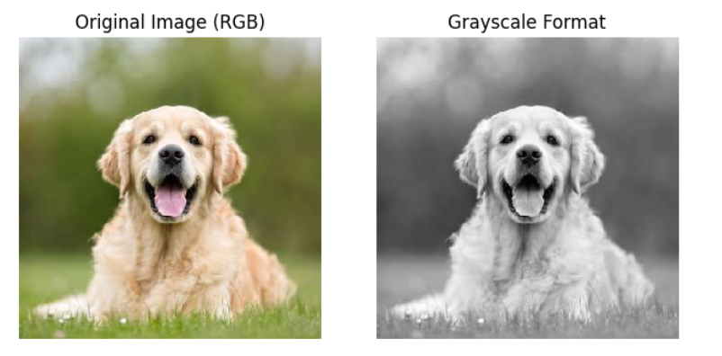 Image Processing With skimage (Part 2) | by Sikha O K | Medium