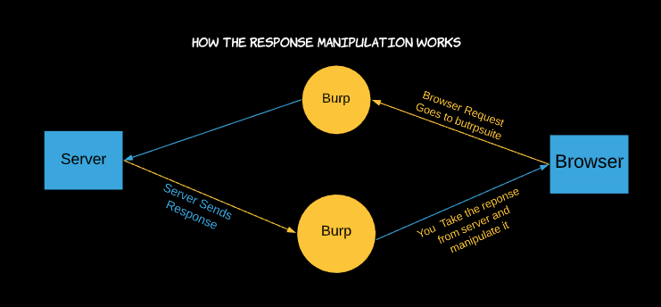 Demystifying Host Header Injection Attack And Its Root Cause Analysis Part 1 By Sarath