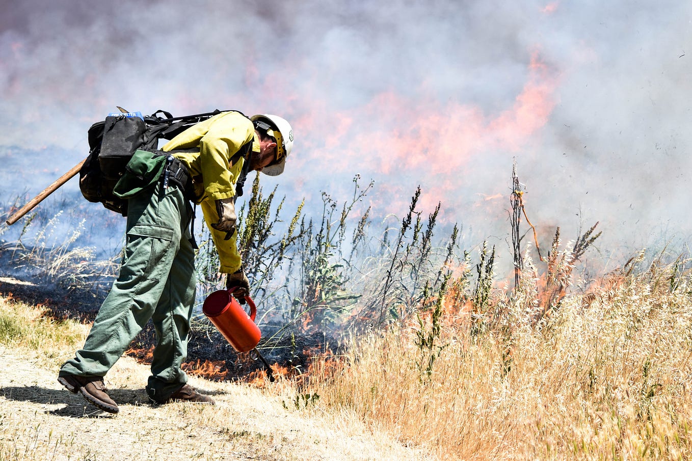 Fires, forests, and fish. Story by Peter Kauss, BLM Hydrologist… | by ...