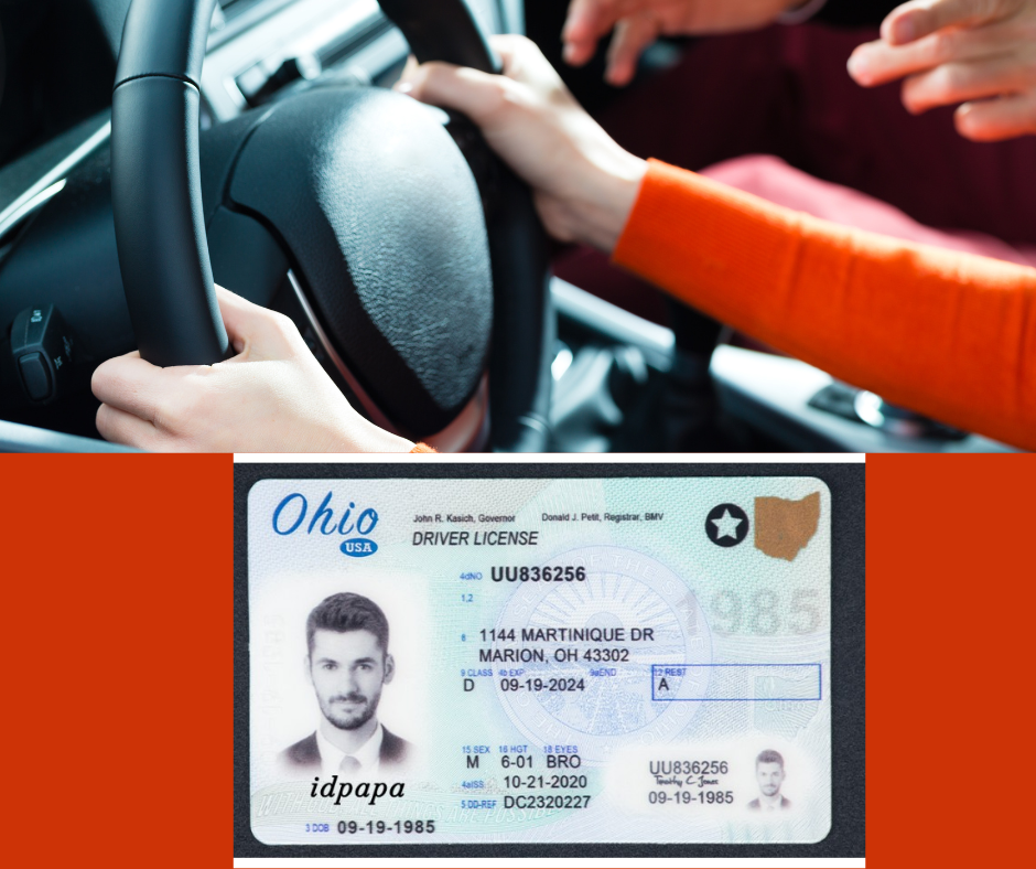 The Ultimate Guide to Buying Best States for Fake Ids: IDPAPA’s Expert ...