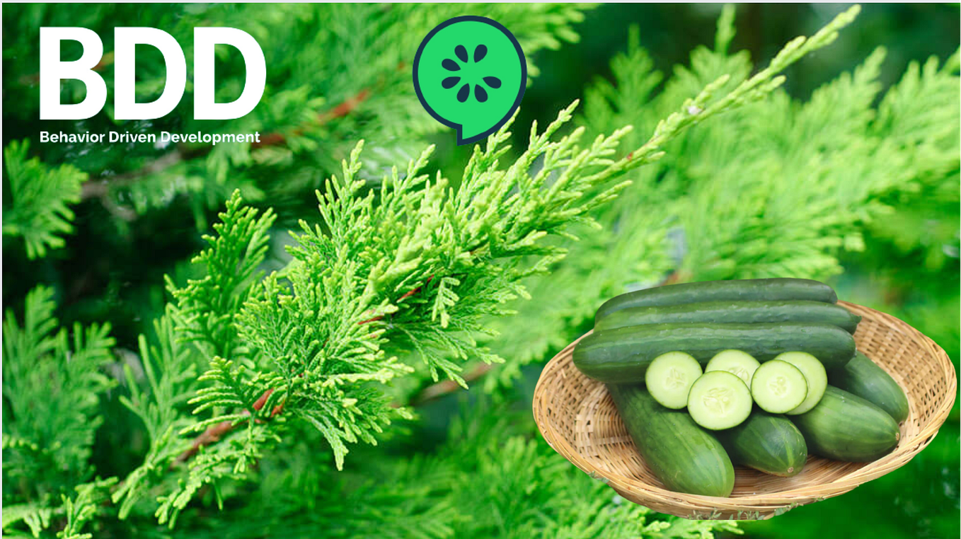 Getting started with Cypress 10 and Cucumber | by Amna Bibi | Emumba