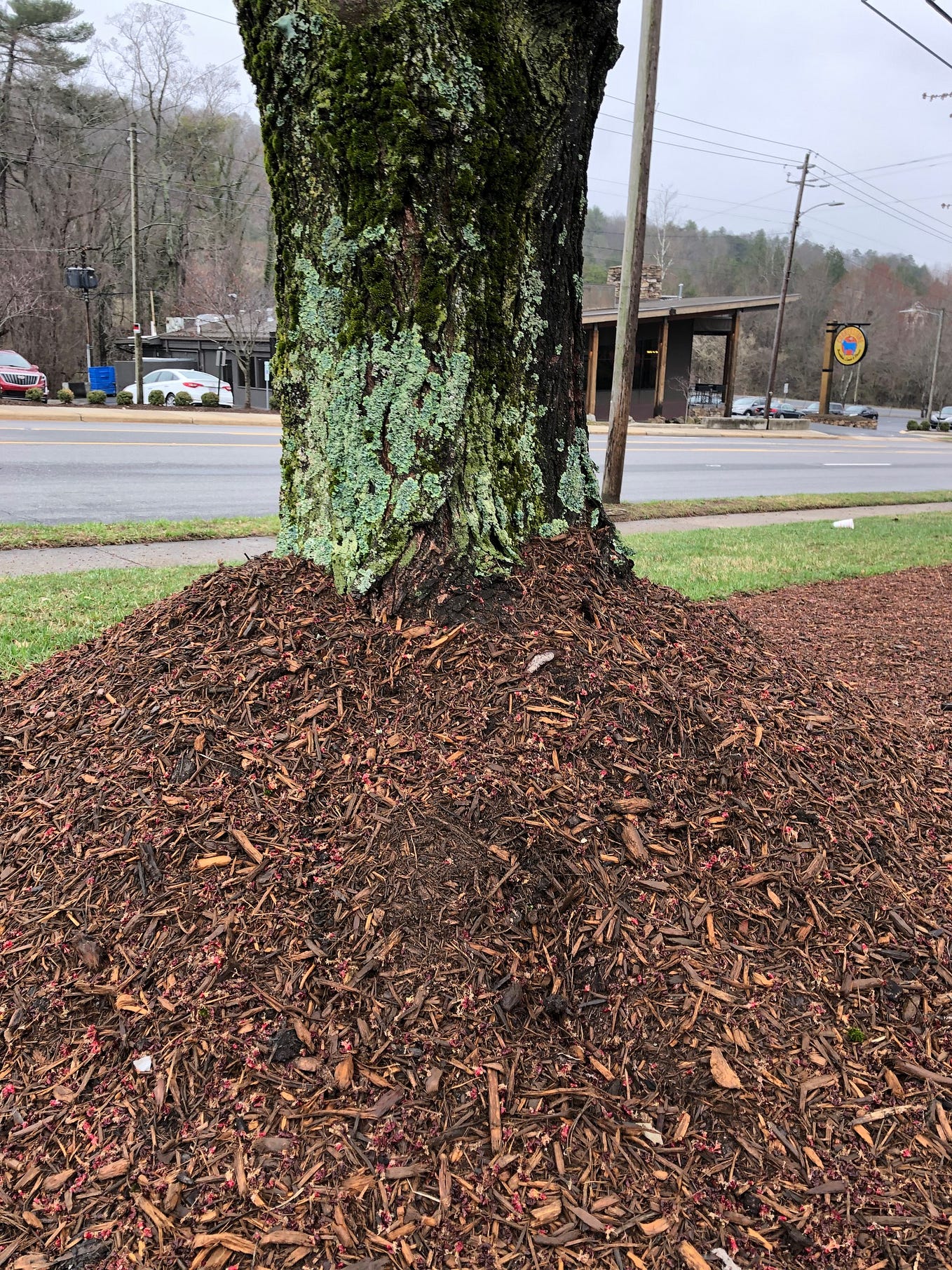 I'll never forget the old cartoon of the duck standing next to a ...