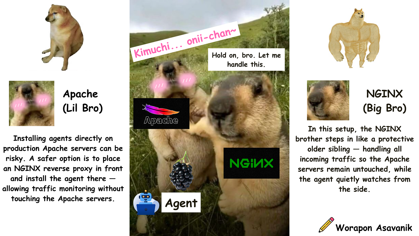 MongoDB Setup 101: From Containers to Compass for Absolute Beginners ...