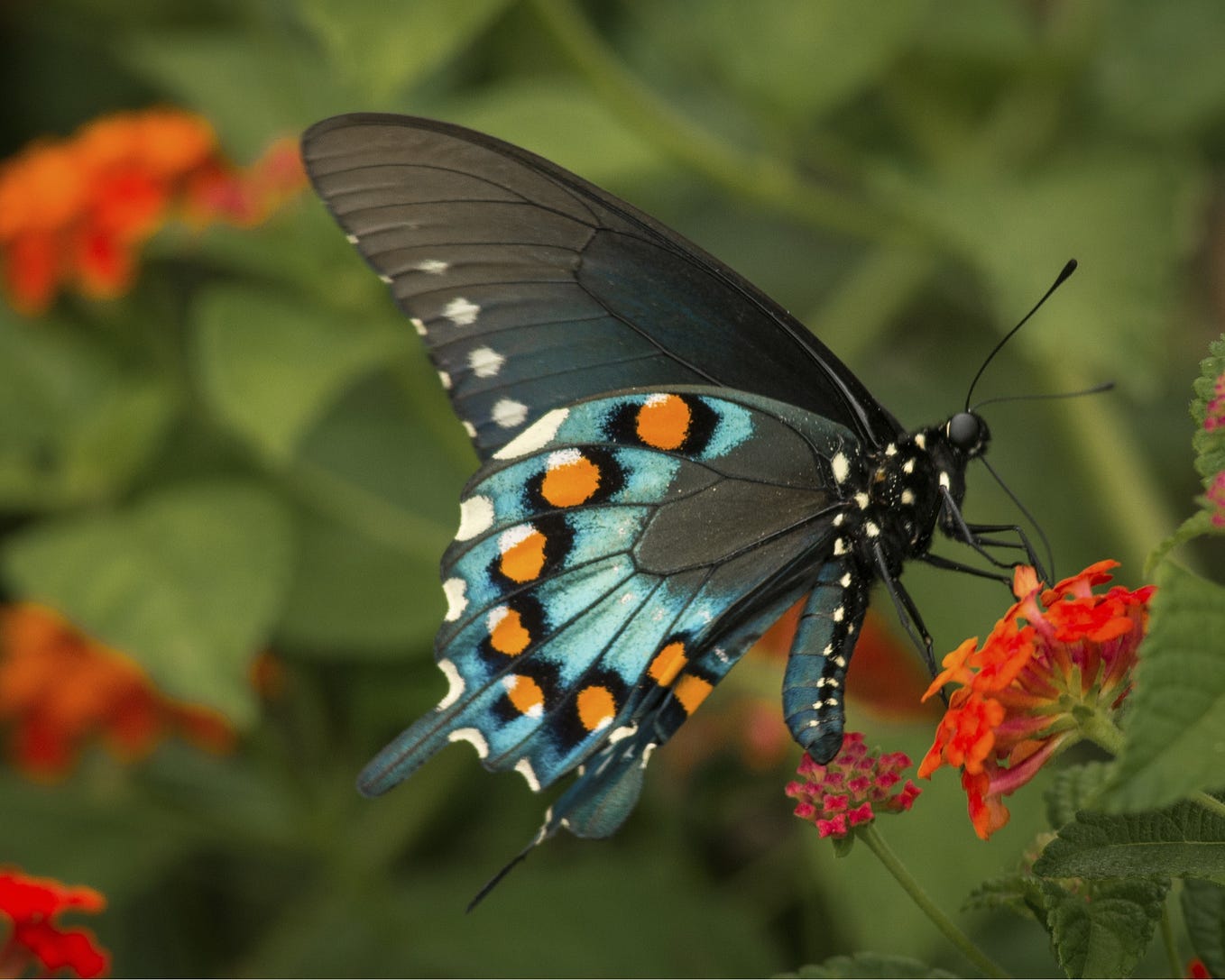 Surviving Emotional Abuse: Why Self-Esteem is So Important to Me | by Towanda Bryant | Medium