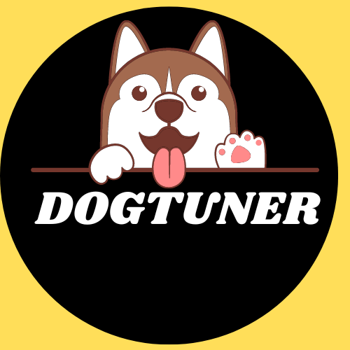 5 Best Homemade Dog Food Recipe, approved by Vet | by Dogtuner | Medium
