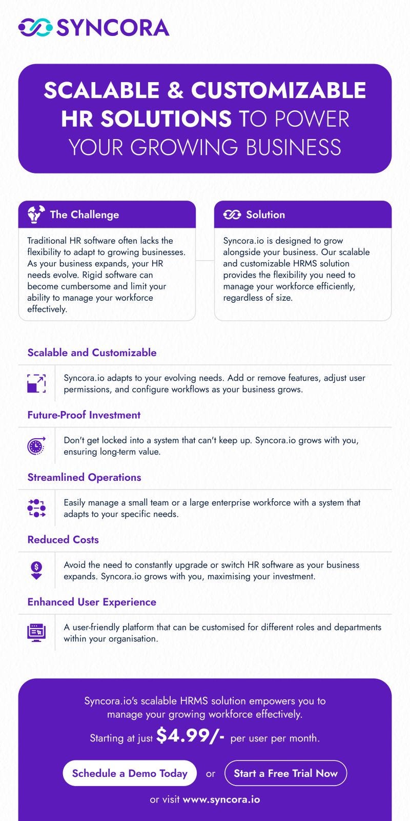 Web Development, Unveiling Digital Excellence - Syncora - Medium