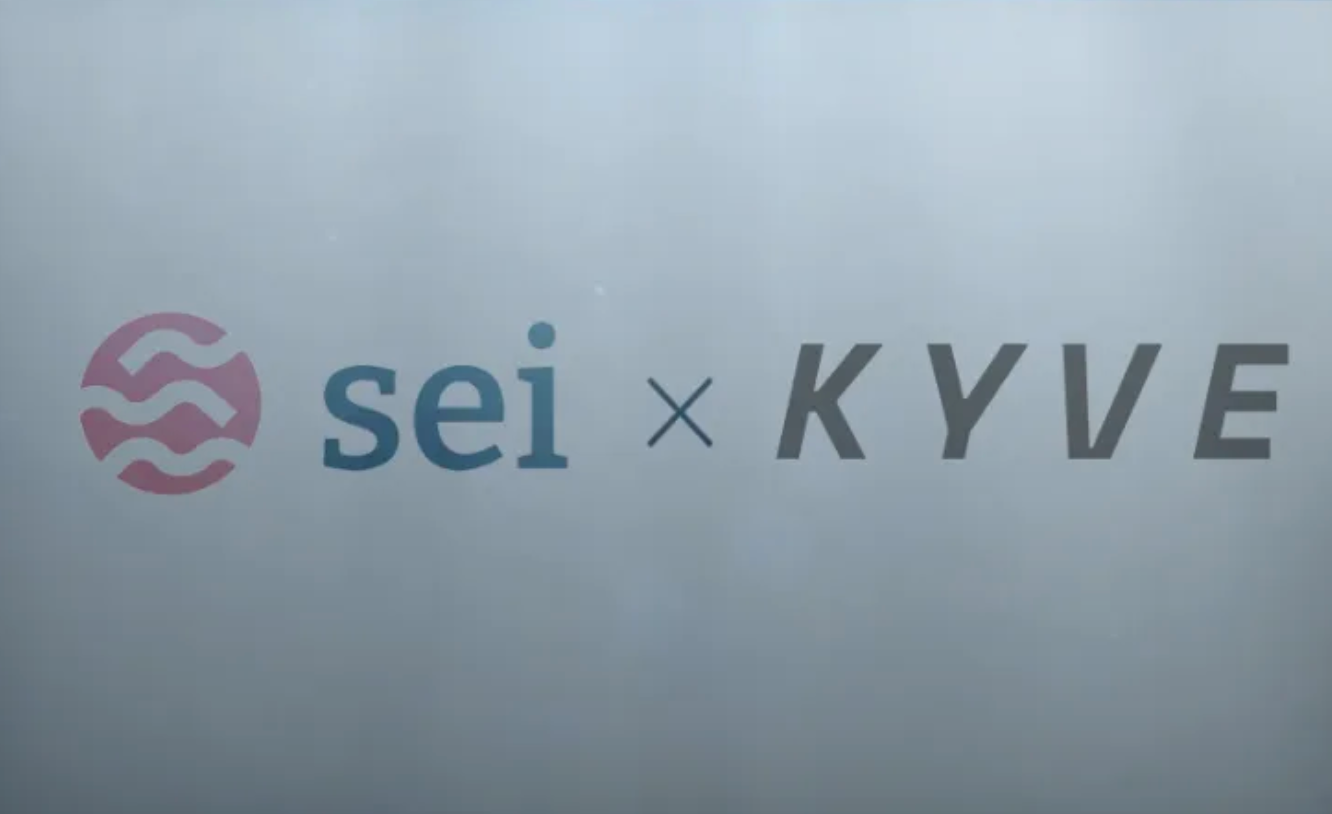 Introducing the King of Fast Decentralized Operations: Sei Network | by Dmitriy Kokokha | Medium