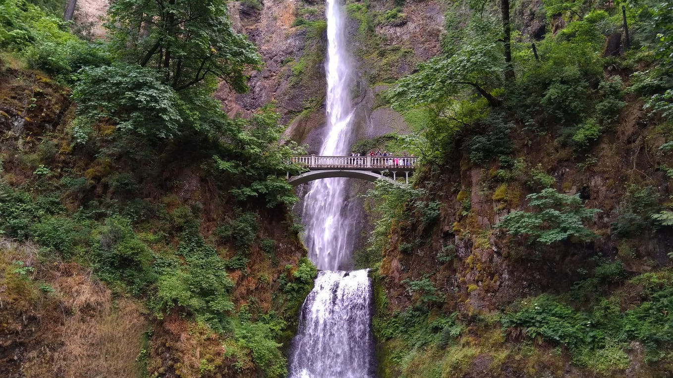 A Bridge Too Far. The tribulations of being a bridge… | by Claire ...