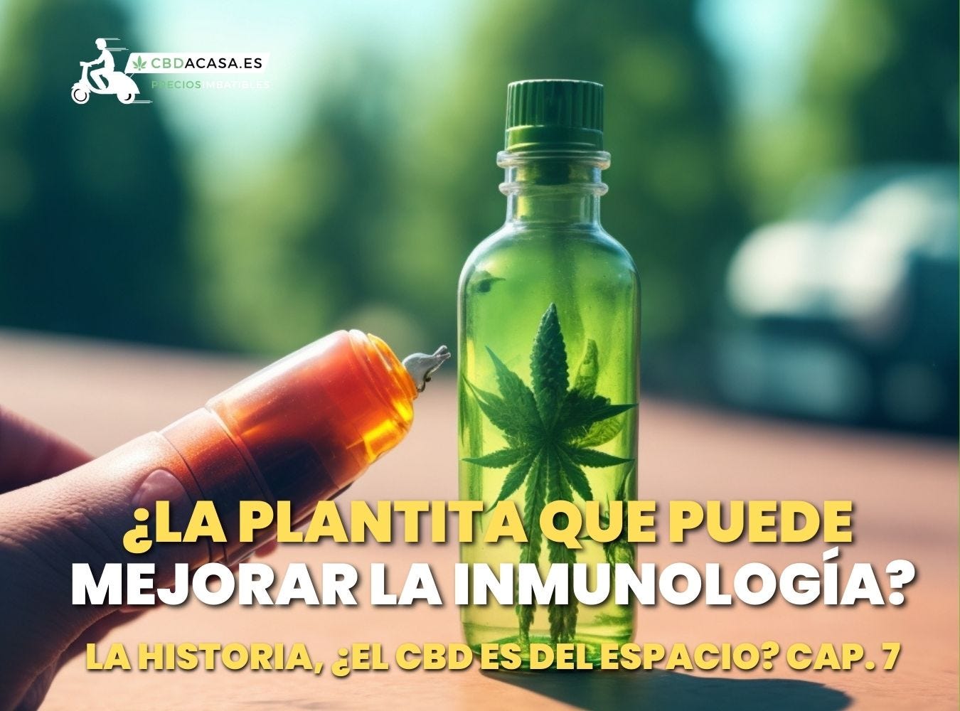 La ayuda indiscutible de esta planta a las mujeres. La historia del ...