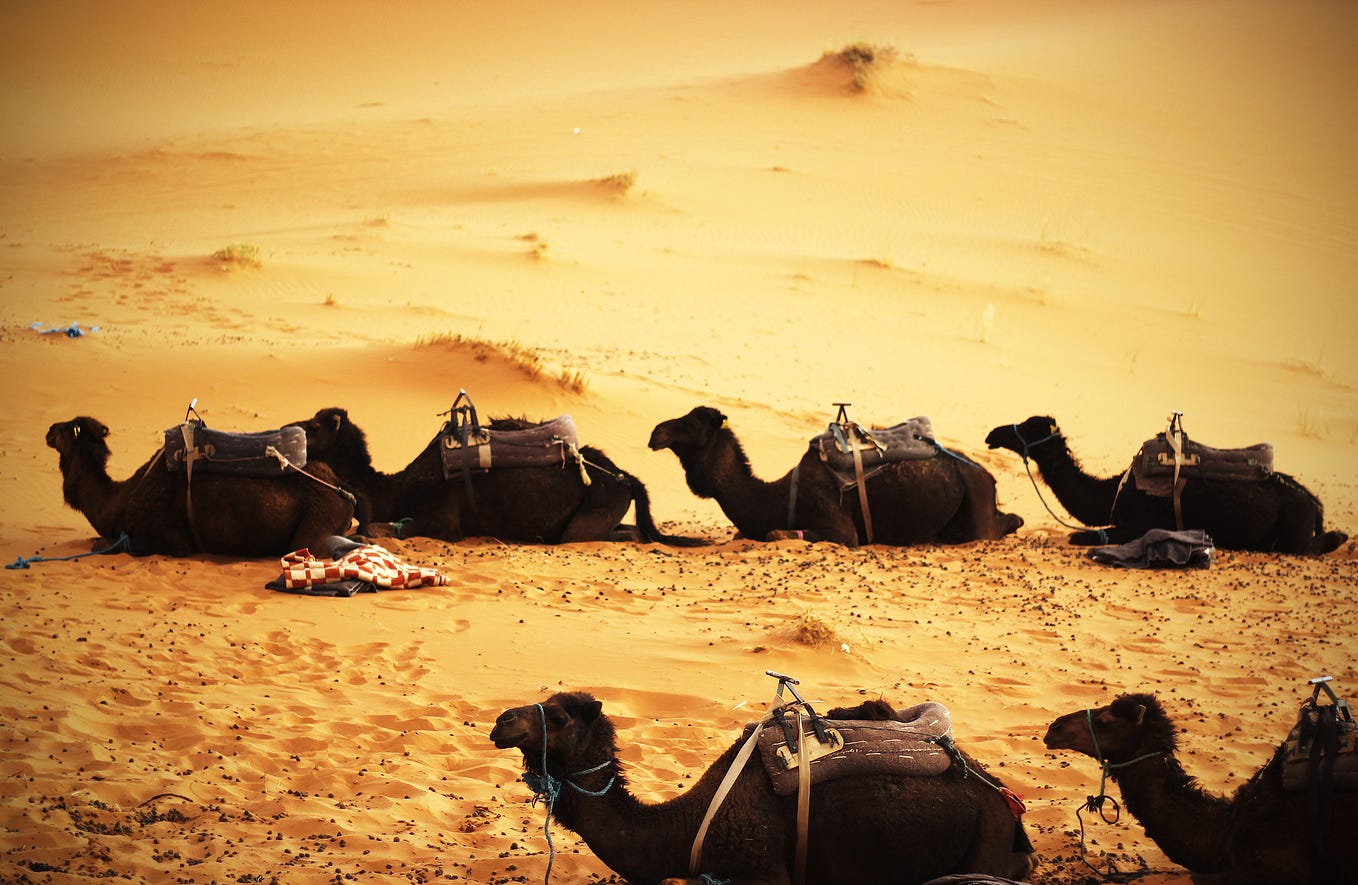 10 Beautiful Lessons Derived From the Exemplary Life of Prophet Ibrahim | by Dhun Nurayn El ...