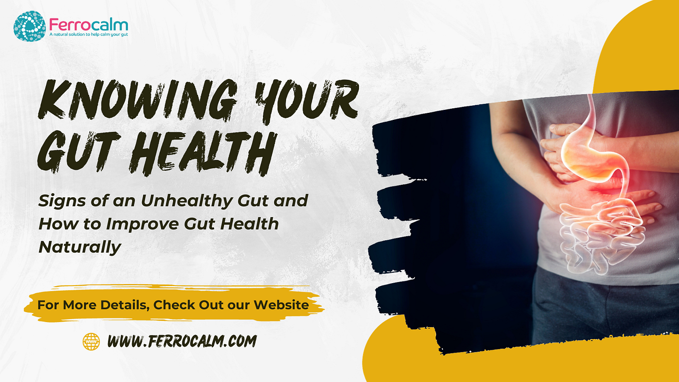 How to Choose the Best Gut Health Supplements to Improve Your Health! | by Ferrocalm UK | Nov ...