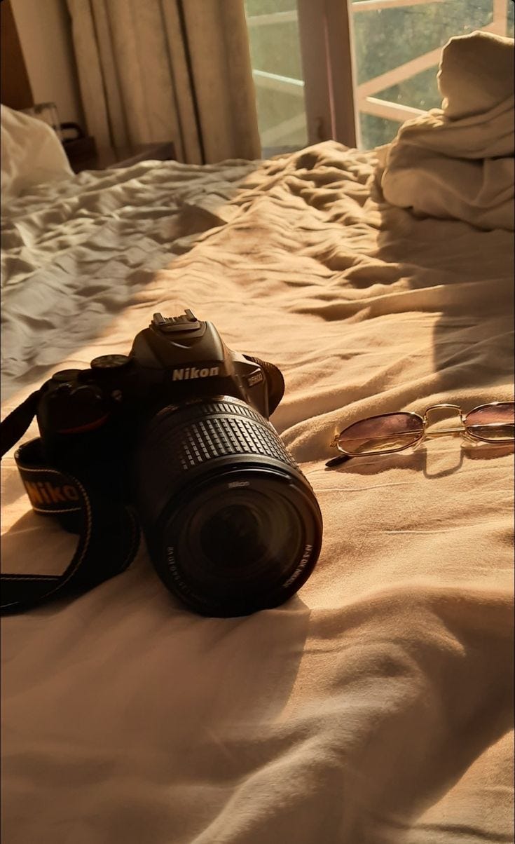 Harnessing the Beauty of Nature: Tips for Wildlife Photography | by ...