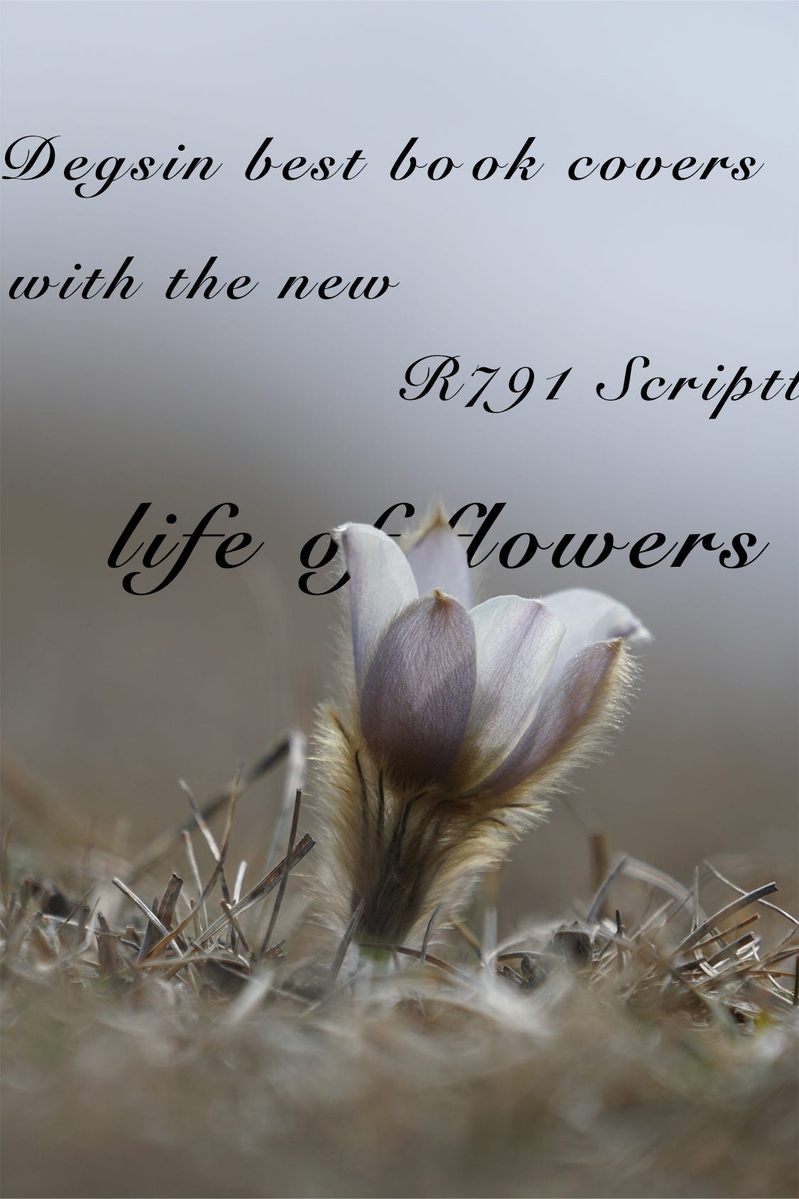 Nova Normal A Font - Freefontdownload.Org - Medium