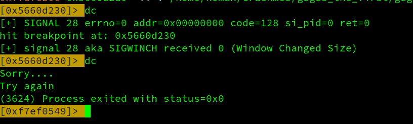 How to Setup DeepSeek Coder V2 Locally with a Web UI | by Noman Prodhan | Jan, 2025 | Medium