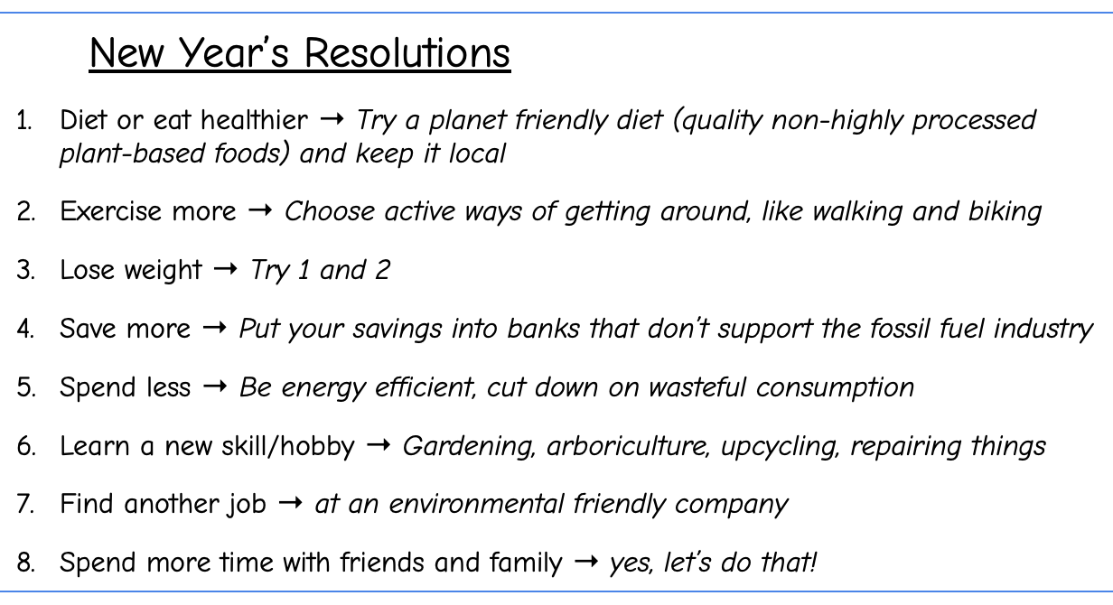 Better Ways to Offset the Carbon Emissions of Your Flights | by ...