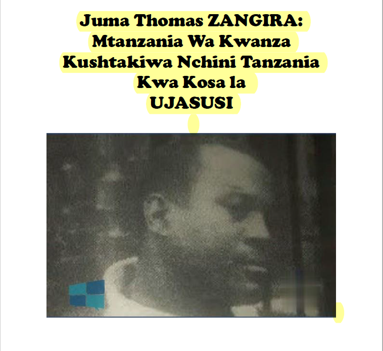 Tanzania: Intelligence insights: challenges and potentials for ...