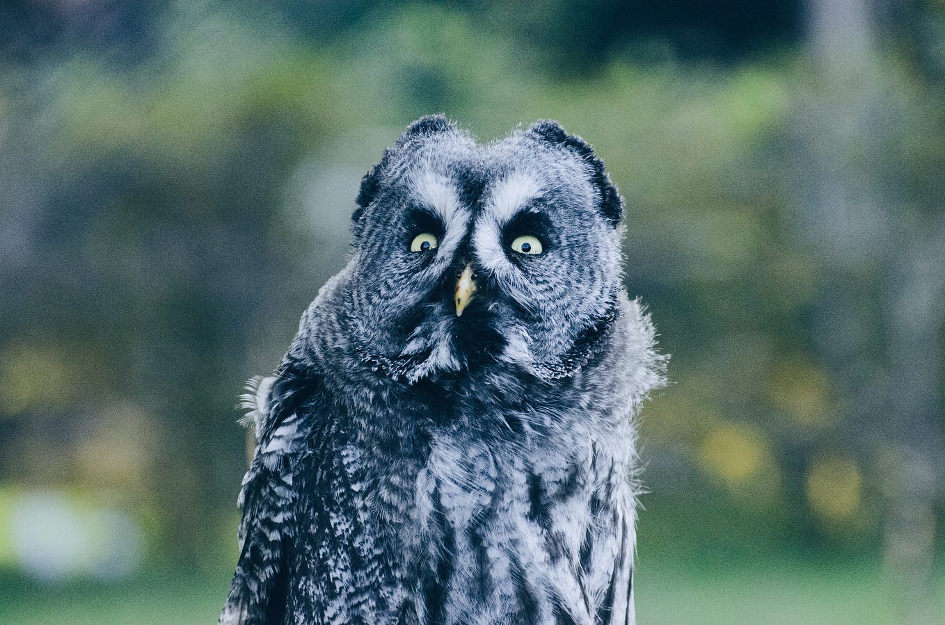 Autoscaling Kafka Streams applications with Kubernetes | by Jaroslaw ...