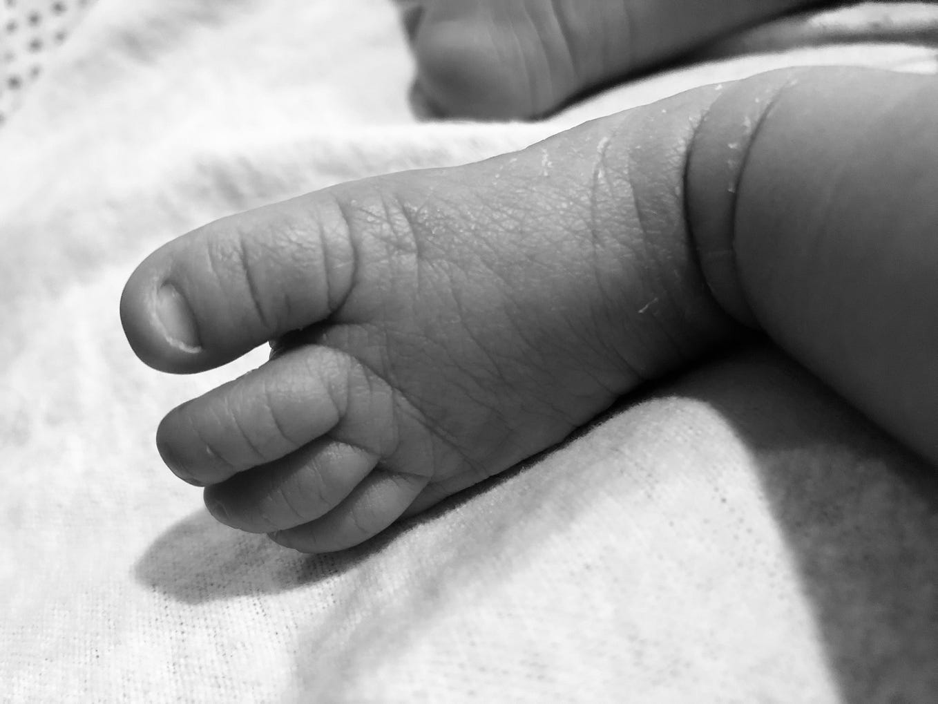 A WORLD WITHIN - Shawnee Witt - Medium