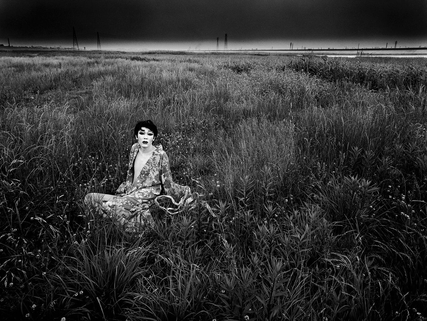 Deep, Sun-Drenched Photography Explained | by Josh Rose | Storius Magazine