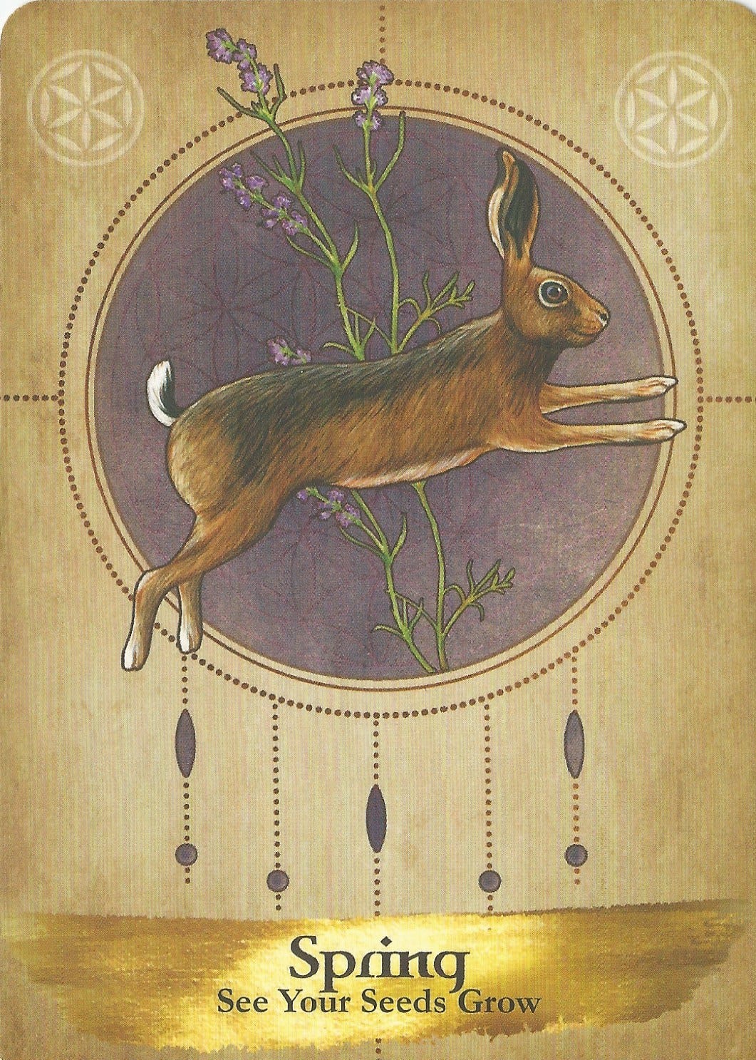 Creating a dynamically initialized bean in Spring | by David Barda ...