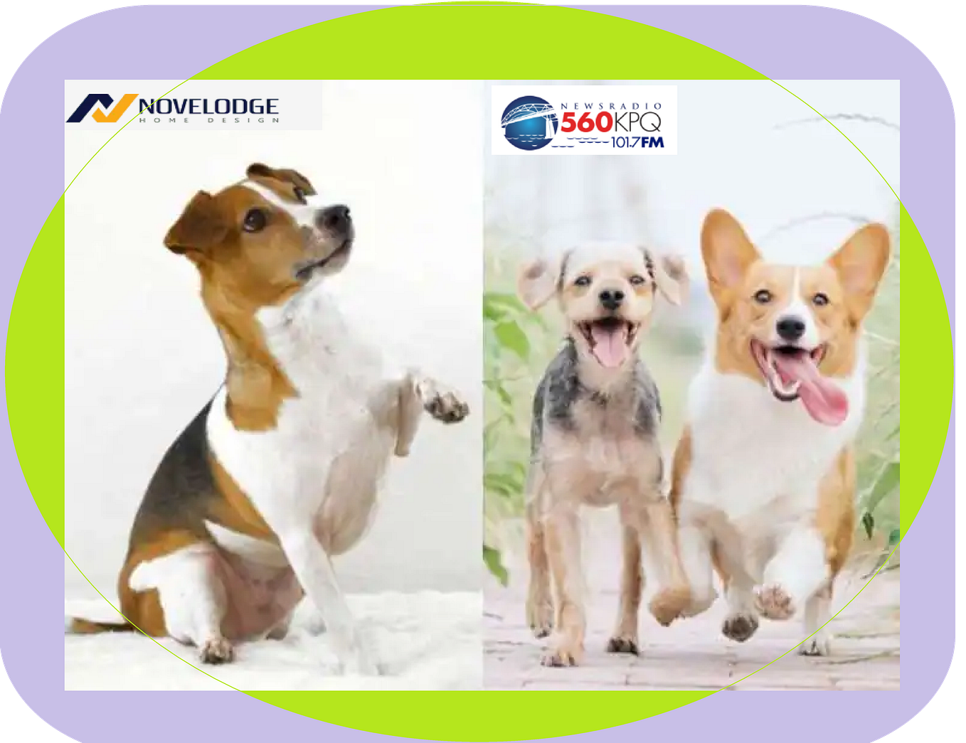 What Does It Mean to Be Ambidextrous? | by Sadan Nair | Medium