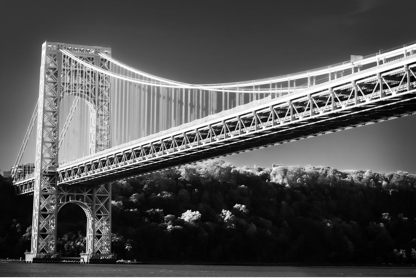 Photographing Insects: Choosing a Macro Lens | by Mark Overmars | Full ...