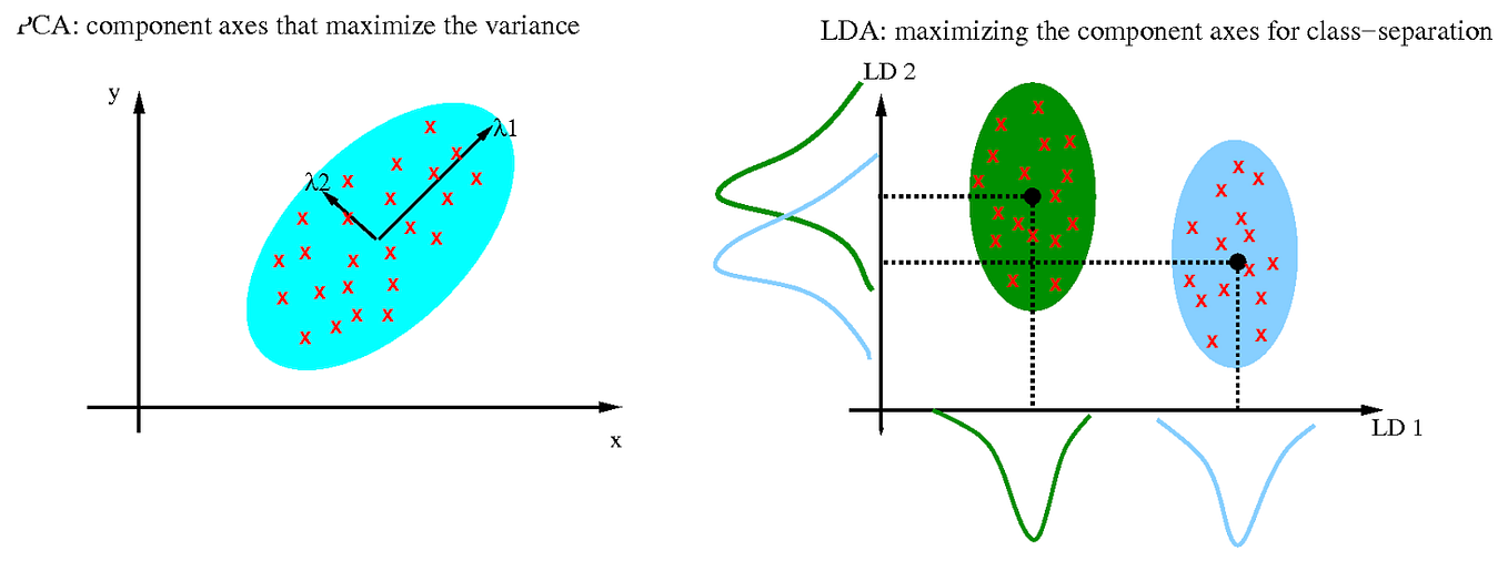 Stochastic gradient descent vs Gradient descent — Exploring the differences | by Seshu Kumar ...