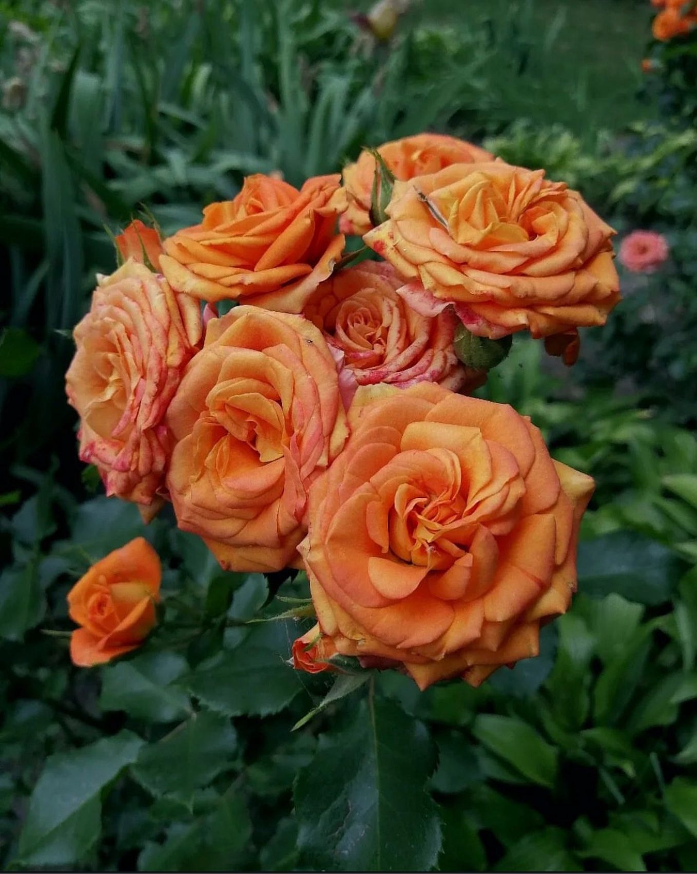 As Hope Flickered. It Dimmed | by Ndu Jennifer Ebubechukwu | Sep, 2024 | Medium