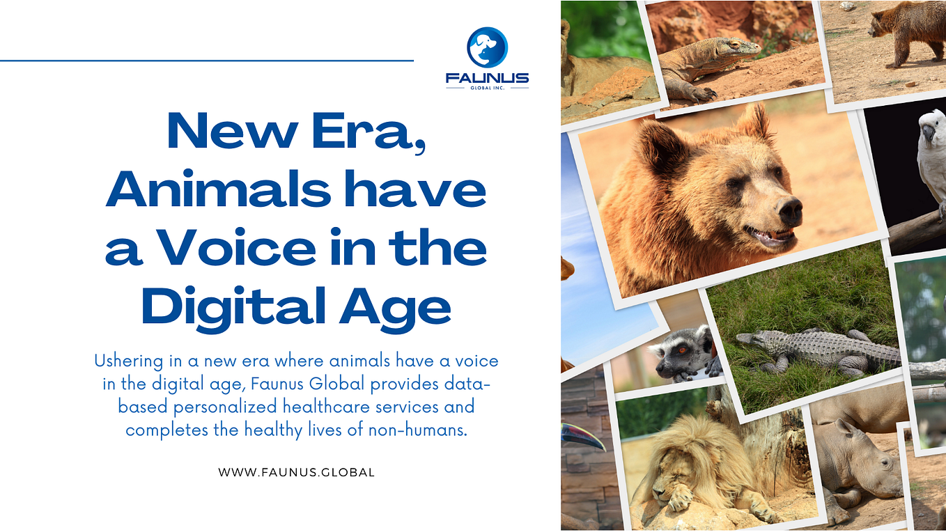 FAUNUS Vision - FAUNUS Global - Medium