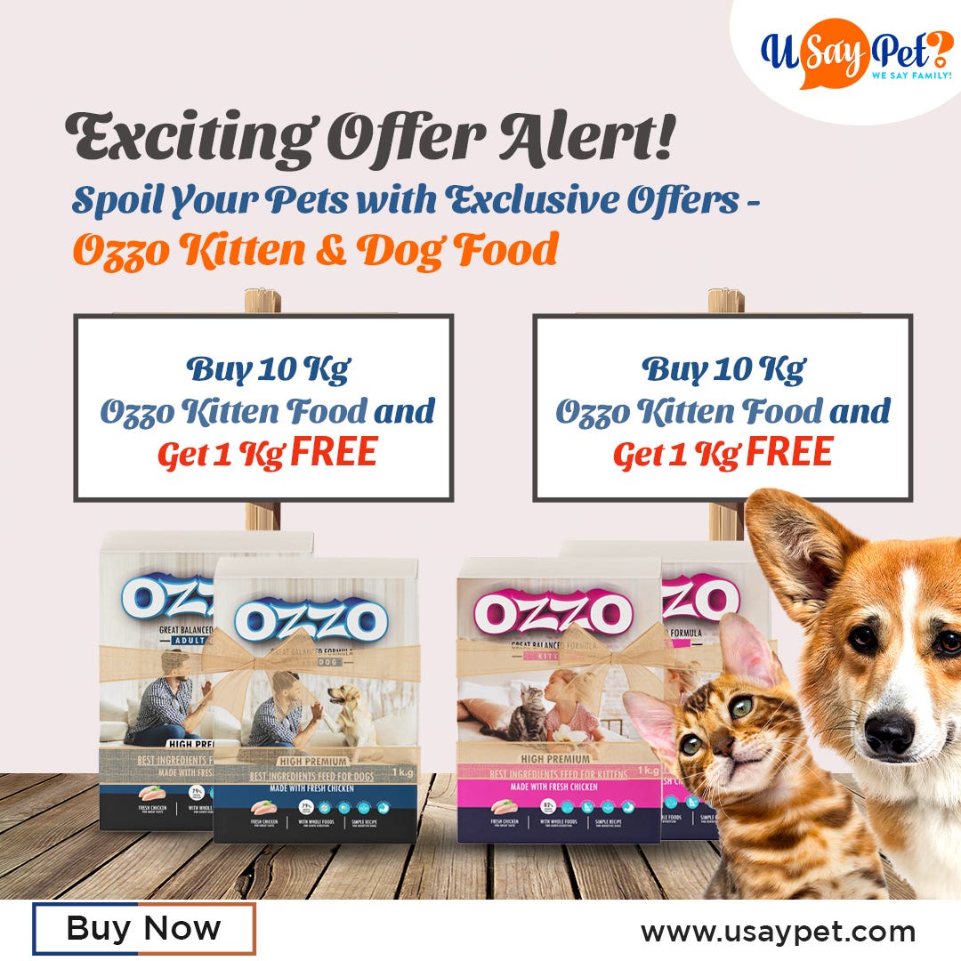 Keeping Your Pet Hydrated: A Comprehensive Guide to Preventing ...