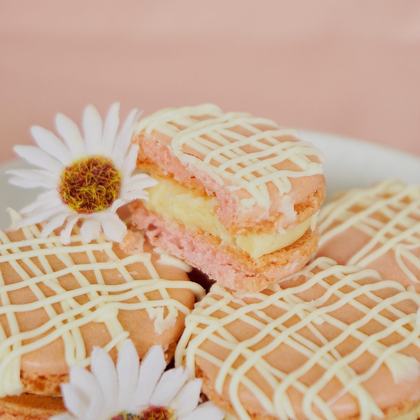 MACARON LOTUS TERENAK DIBANDUNG!!! Jual Macaron Wa 0819–1209–0006 ...