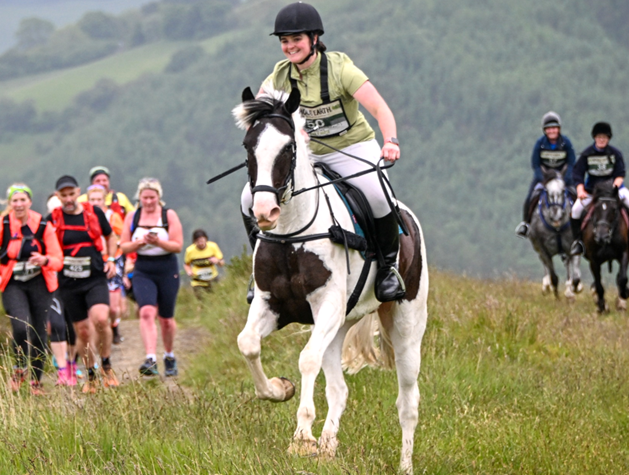 How to Beat the Barkley 100. Jared Campbell has completed the… | by How ...