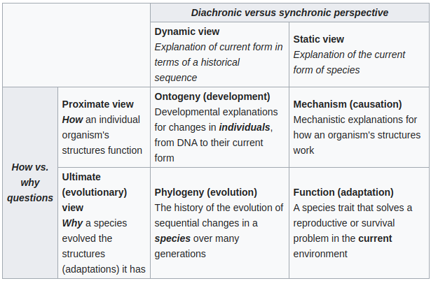 InterCode: Generating code interactively with Reinforcement Learning and Large Language Models ...