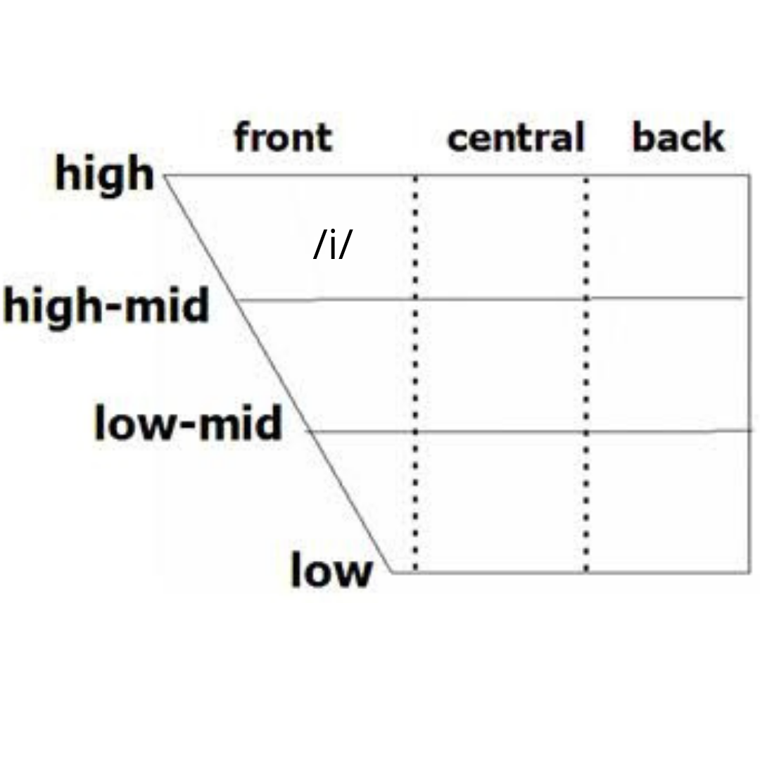THE 20 VOWEL SOUNDS. The vowel sound is the core of every… | by ...