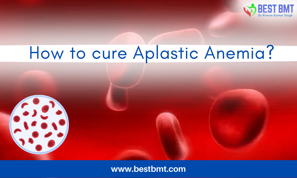 Iron Deficiency Anemia: How Can I Raise My Iron Levels Quickly? - Dr ...