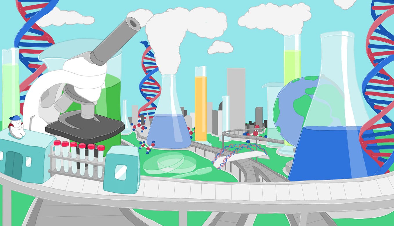 Animation Process: Scene 1. Now it is finally time for me to… | by Bethany cook | Medium