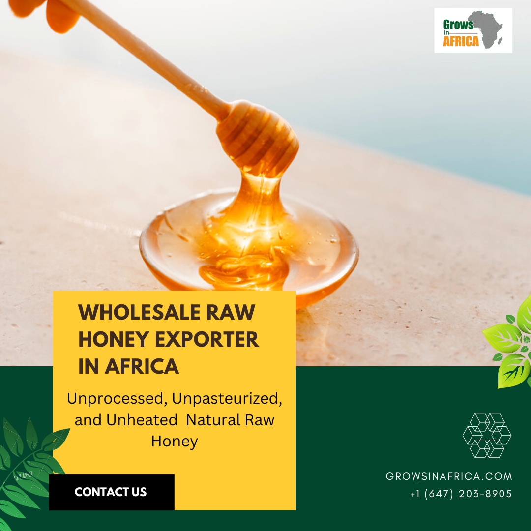 Various Benefits Of African Raw Honey - Grows in africa - Medium