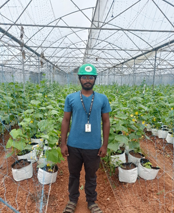 Revolutionizing Agriculture: IGO Agritech Farms’ Best Polyhouse Project ...