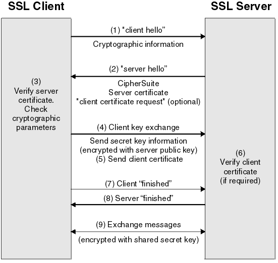 TypeScript’s Record Type Explained | by Sunny Sun | Better Programming