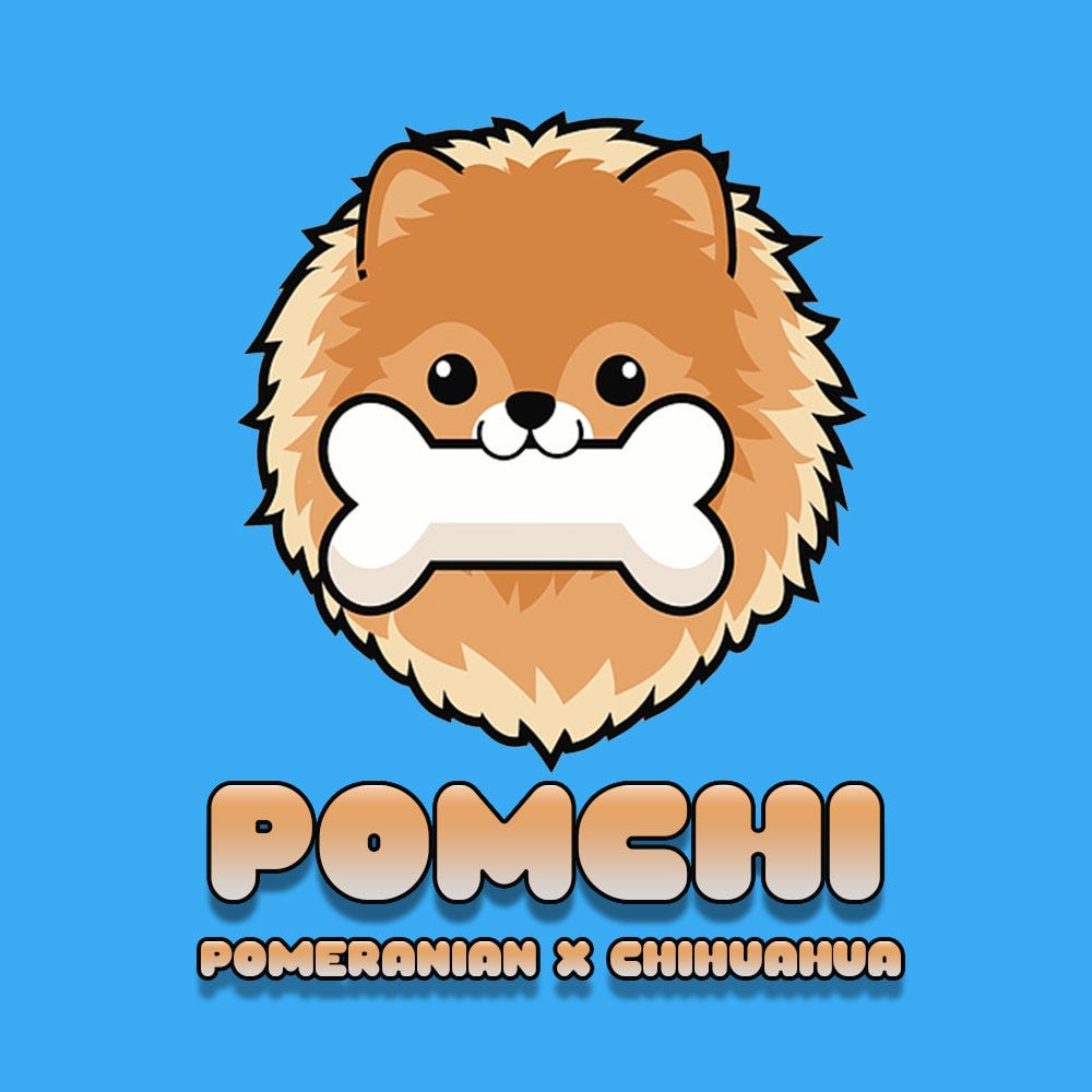 The Future of POMCHI on POMchain. We are anticipating that the ...