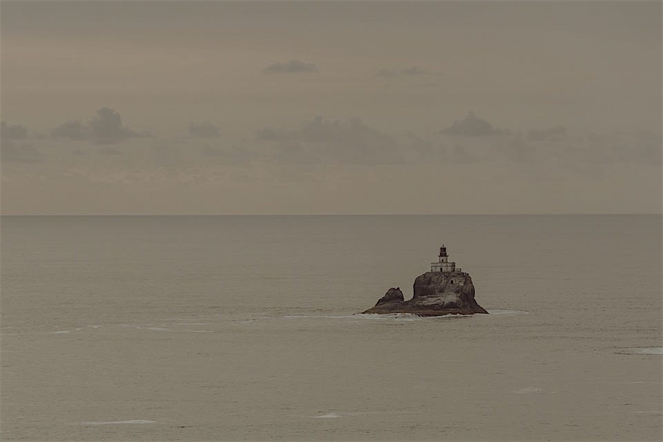 The hole in the field. At the end of my eighth year, or… | by Daniel Zollinger | Medium