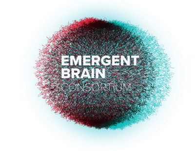 The Emergent Brain. “Your experiences today will influence… | by Pat ...