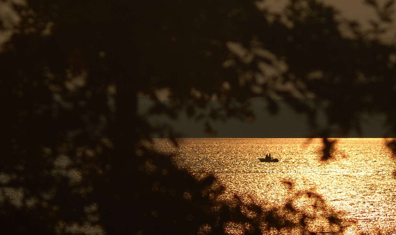 Exploring the 7 Elements of Shibumi | by CJ Amberwood | JUST CURIOUS ...