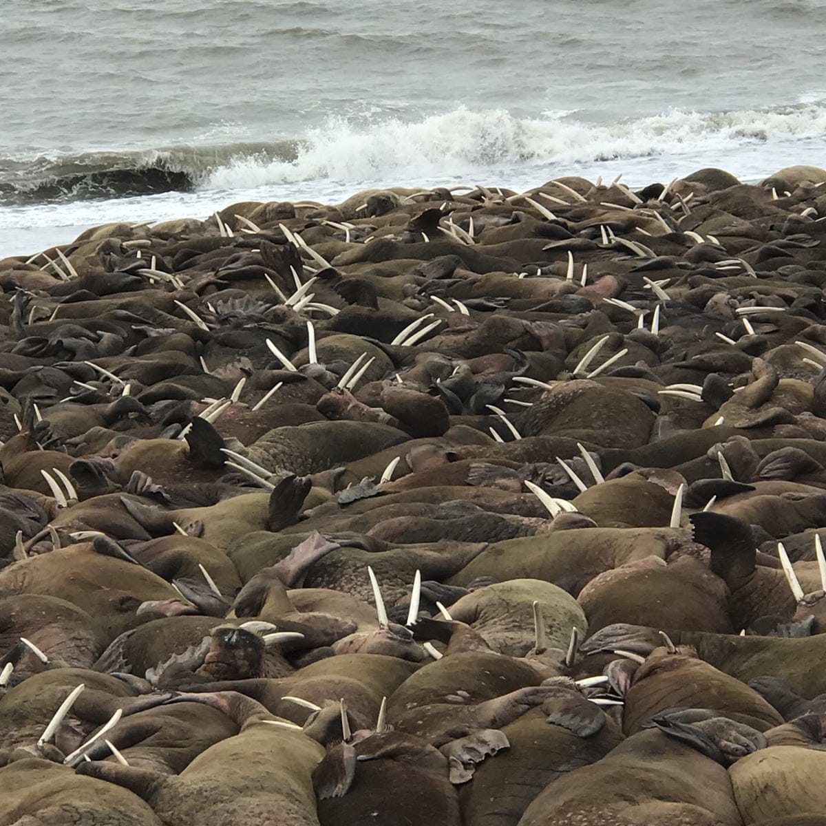 Into the Bering Sea. June 13, 2023 | by Bill Urschel | Alaska Endeavour | Medium