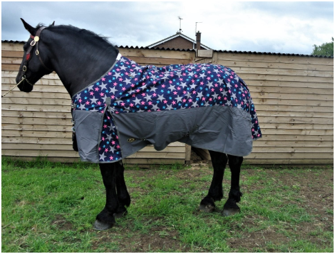 Buy Lightweight Horse Rugs Online | Medium Weight Turnout Rug | by ...