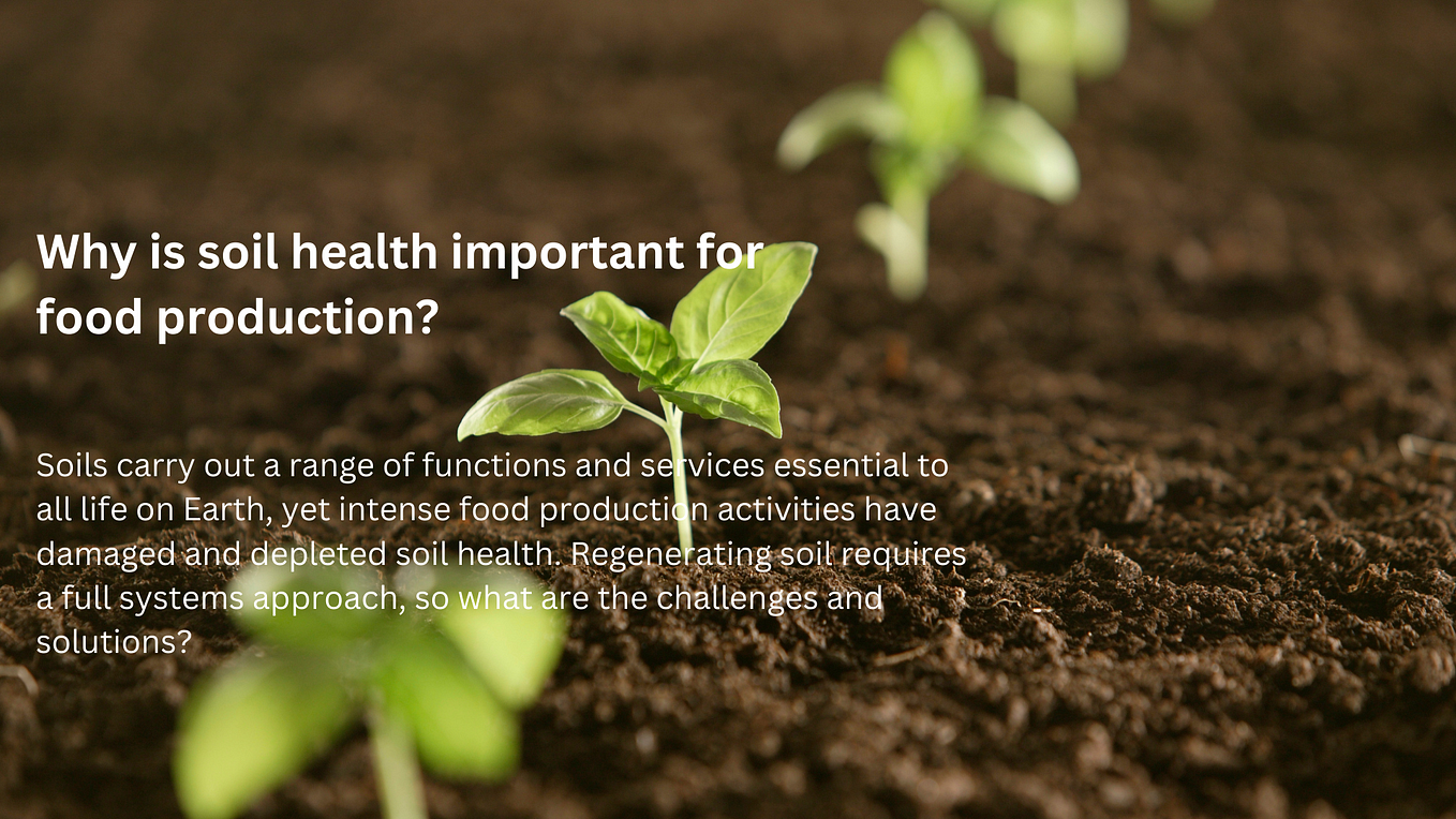 Sustainable Development Goal 2: Zero Hunger | by agrotekplus | Medium