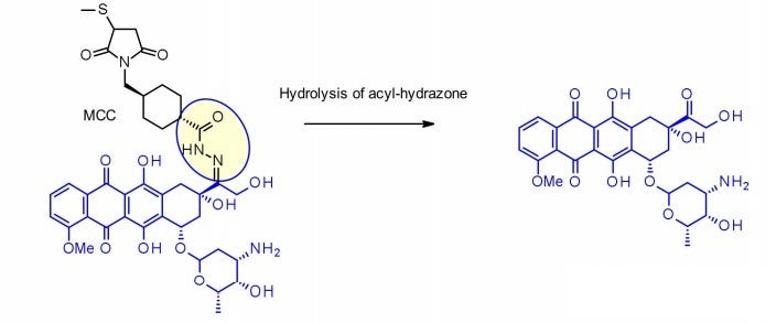 Alexa Fluor series fluorescent dyes and equivalents | by AxisPharm | Medium