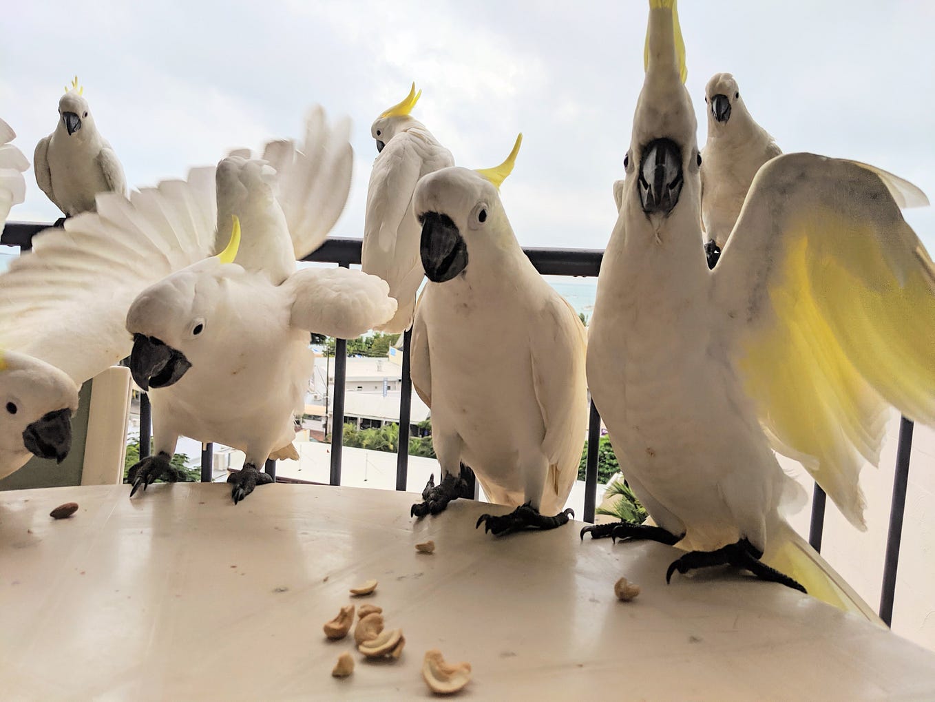 Validation without Exceptions using a MediatR Pipeline Behavior | by David Rogers | The Cloud ...